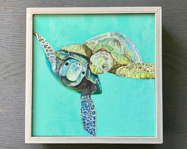 Sea Turtle Love Picture Sea Things Ventura