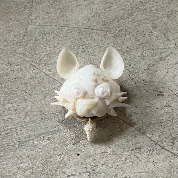 Seashell Pet Magnet – Sea Things Ventura