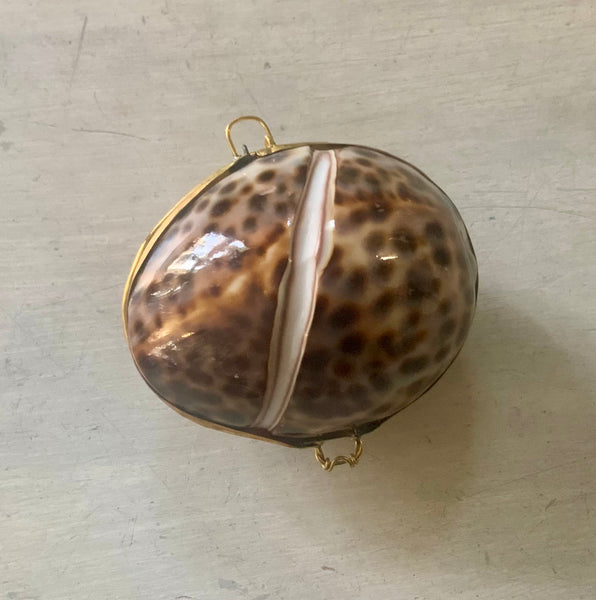 Seashell Coin Purse – Sea Things Ventura