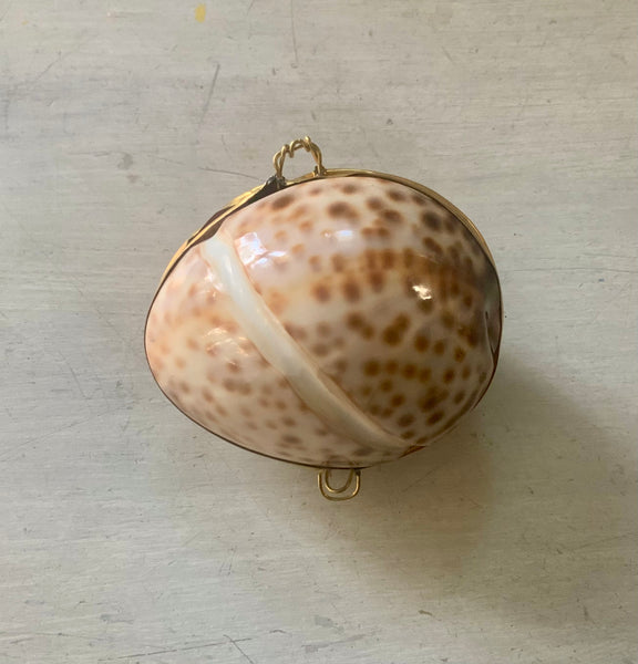 Seashell Coin Purse – Sea Things Ventura
