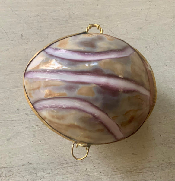 Seashell Coin Purse – Sea Things Ventura