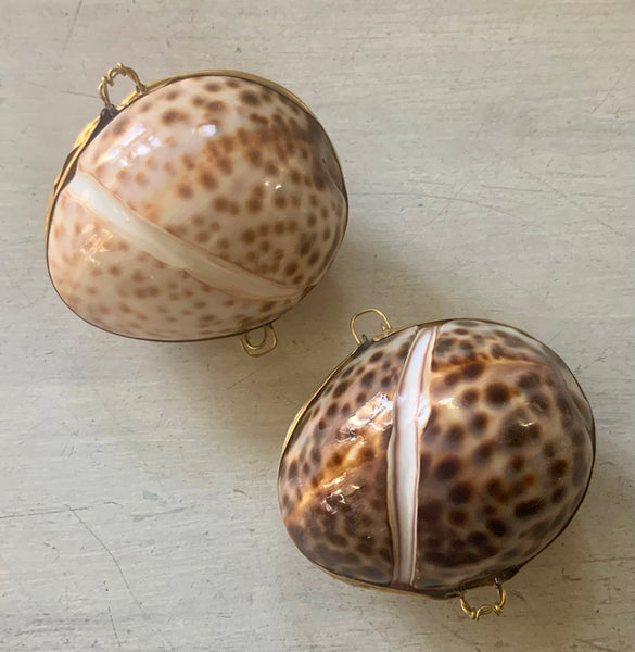 Seashell Coin Purse – Sea Things Ventura