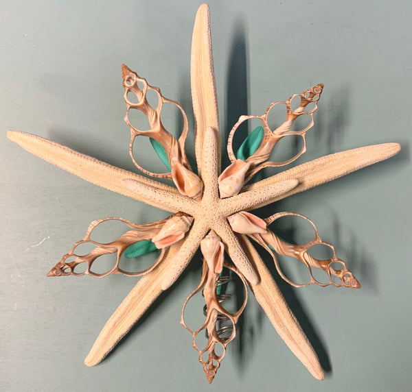 Seafoam Starfish Starfish Tree Top – Sea Things Ventura
