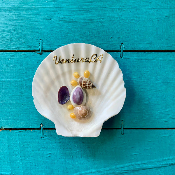 Seahorse Shell Magnet – Sea Things Ventura