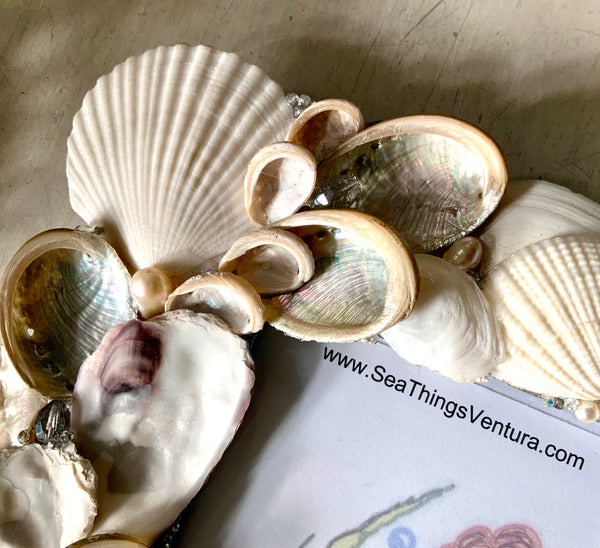 Coastal Shimmer Turtle Seashell Frame – Sea Things Ventura