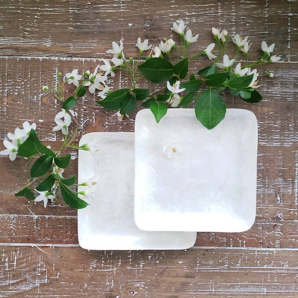 Capiz Square Desert Plate – Sea Things Ventura