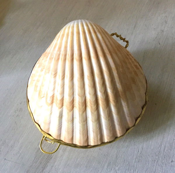 Seashell Coin Purse – Sea Things Ventura