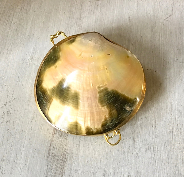 Seashell Coin Purse – Sea Things Ventura