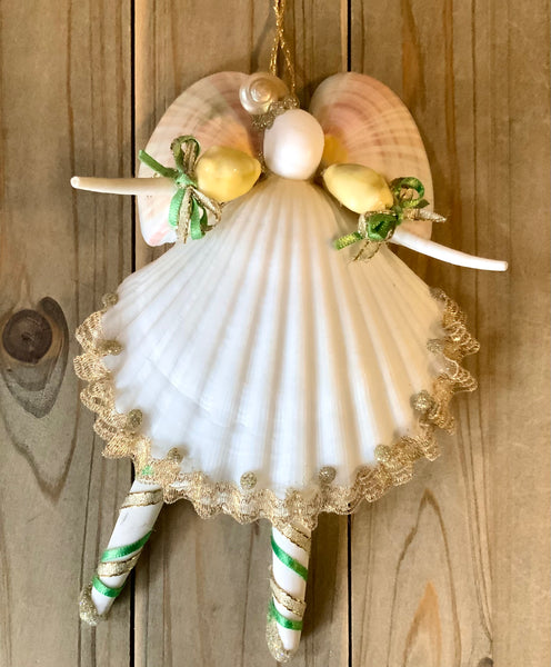 Angel Seashell Ballerina – Sea Things Ventura