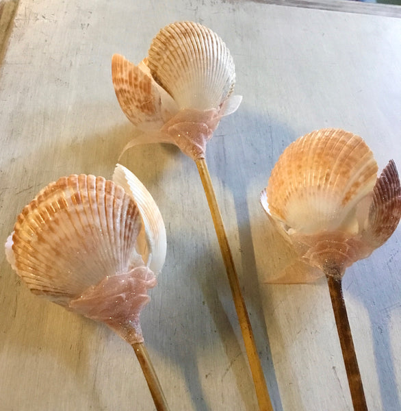 Tahitian Shell Shimmer Rose – Sea Things Ventura