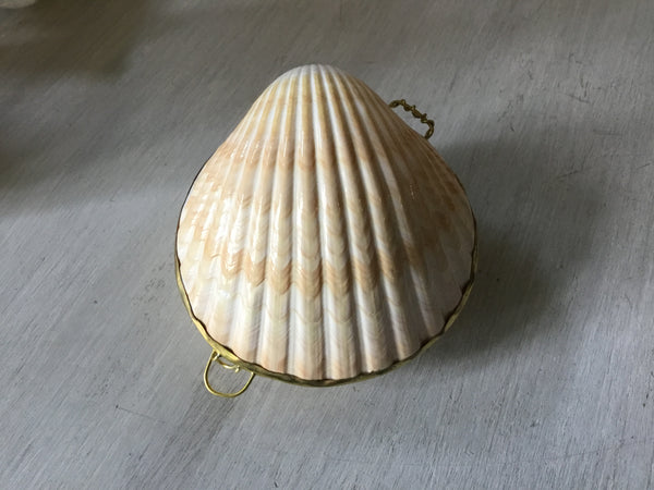 Seashell Coin Purse – Sea Things Ventura