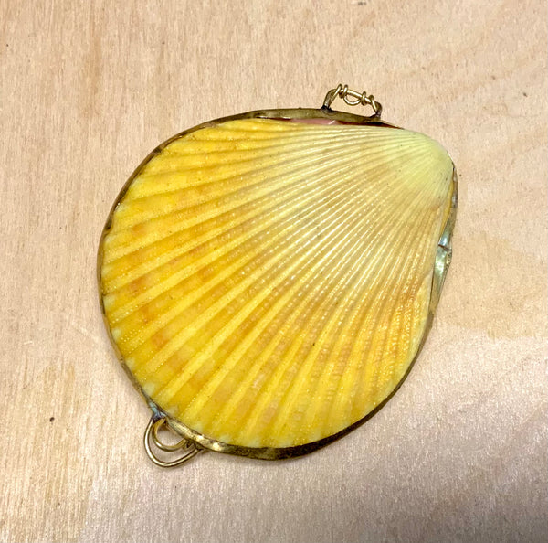 Seashell Coin Purse – Sea Things Ventura