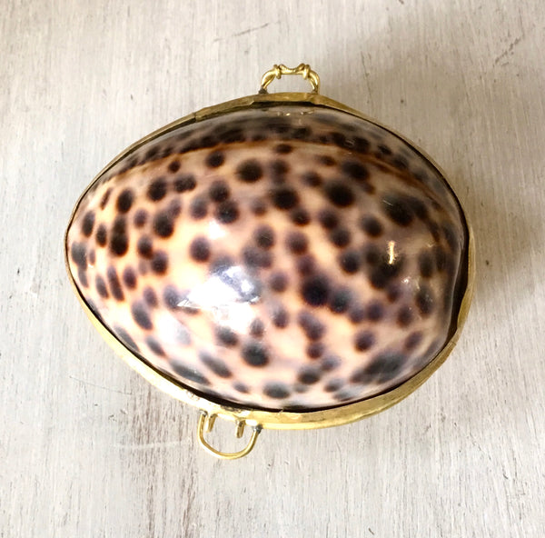 Seashell Coin Purse – Sea Things Ventura