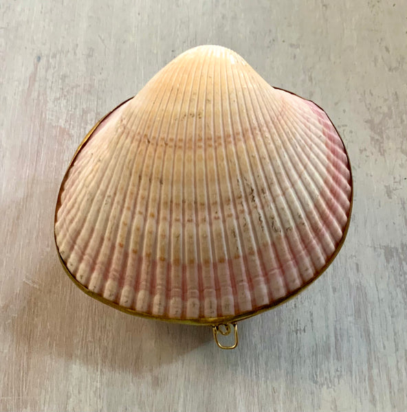 Seashell Coin Purse – Sea Things Ventura