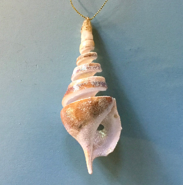 Sparkling Sliced Shell Ornaments – Sea Things Ventura