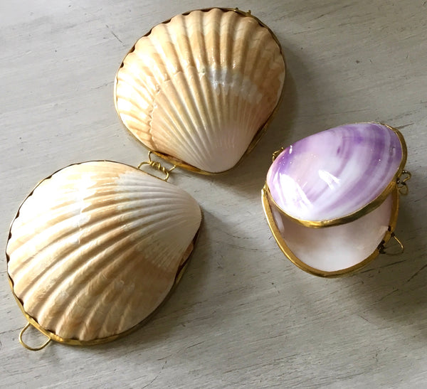 Seashell Coin Purse – Sea Things Ventura