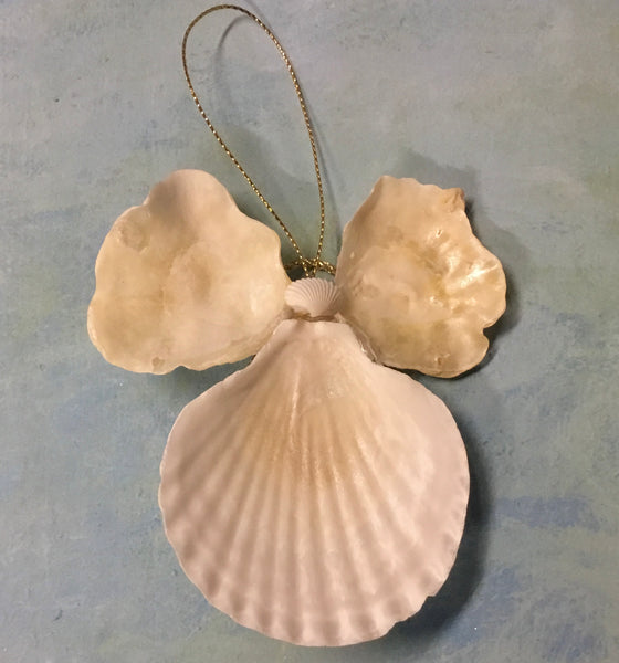 Heart Cockle Angel Ornament – Sea Things Ventura