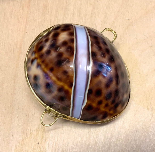 Seashell Coin Purse – Sea Things Ventura