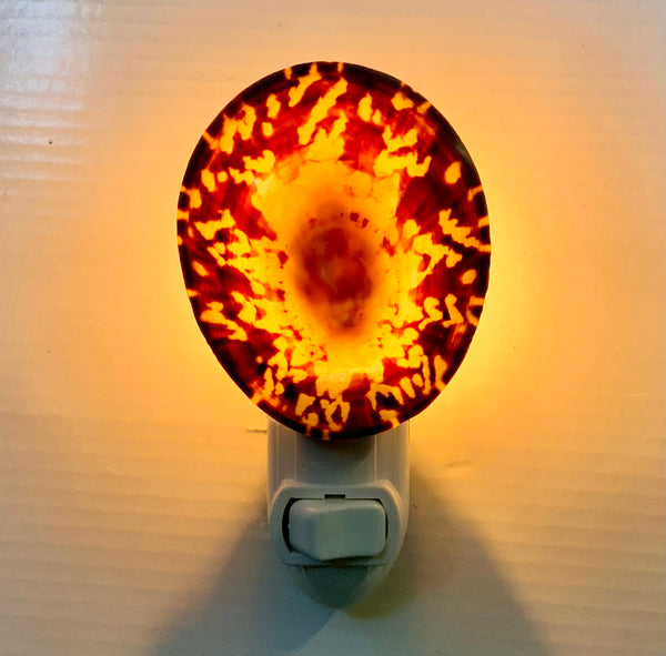 Limpet Shell Nightlight – Sea Things Ventura