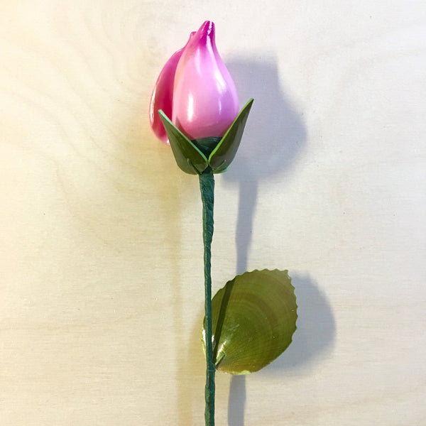 Shell Rose – Sea Things Ventura