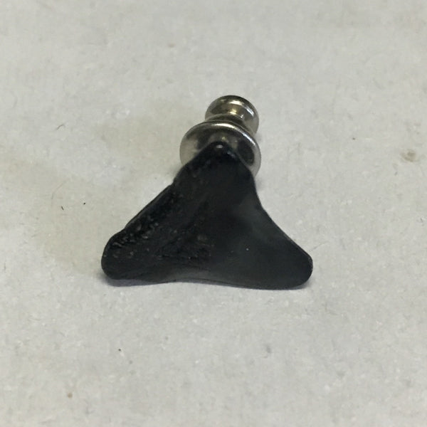 Shark Tooth Stud Earrings – Sea Things Ventura