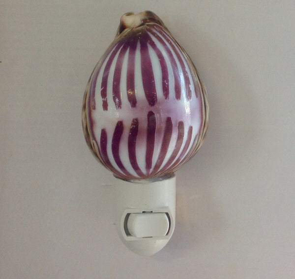 Carved Cowrie Shell Nightlight – Sea Things Ventura