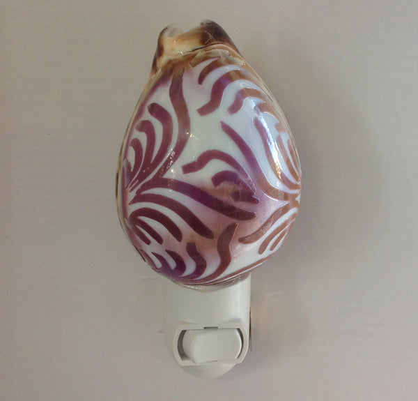 Carved Cowrie Shell Nightlight – Sea Things Ventura