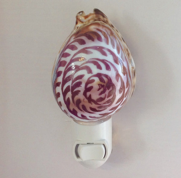 Carved Cowrie Shell Nightlight – Sea Things Ventura