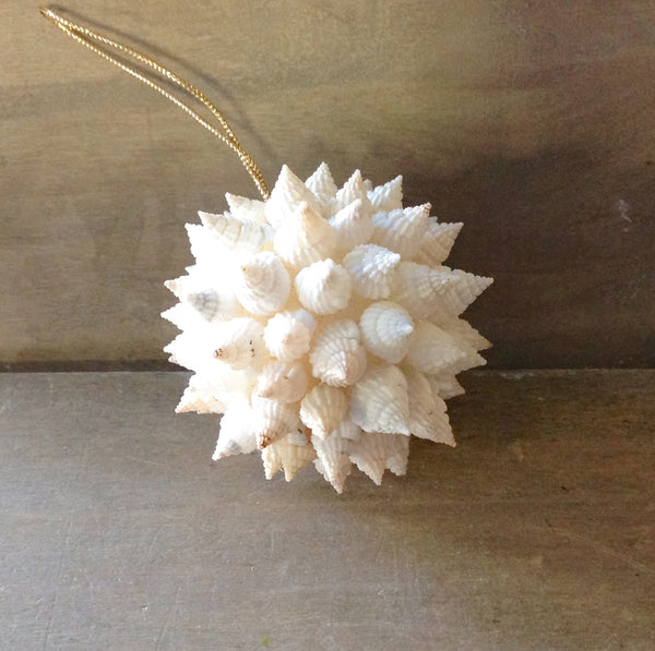 Sea Shell Bulb Ornament – Sea Things Ventura
