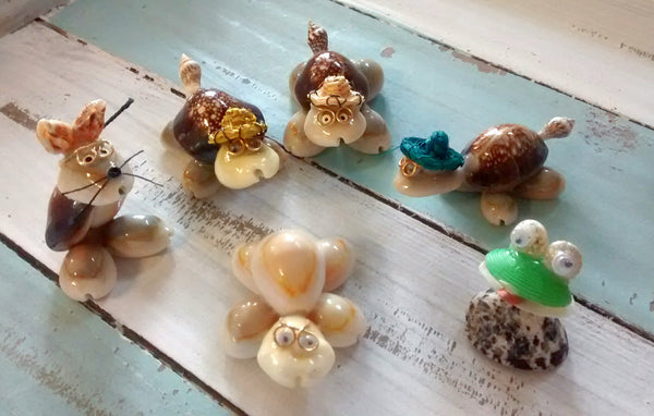 Lucky Seashell Turtle – Sea Things Ventura