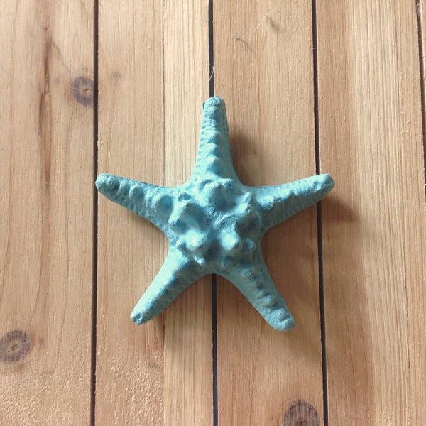 Cast Iron Starfish – Sea Things Ventura