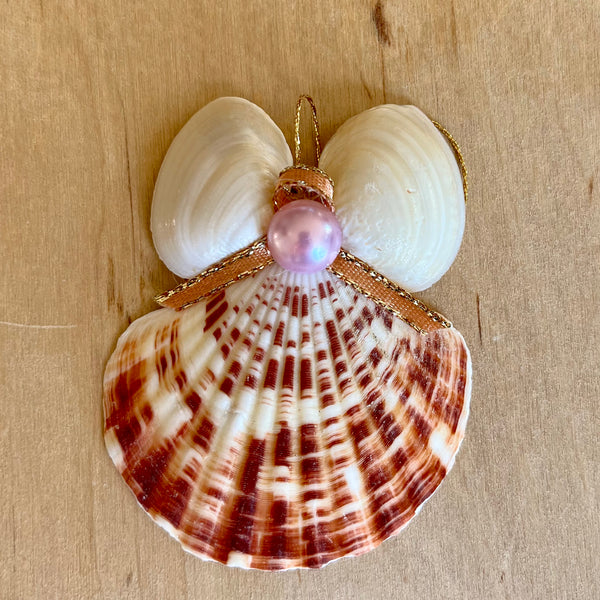 Sunset Shell Angel – Sea Things Ventura