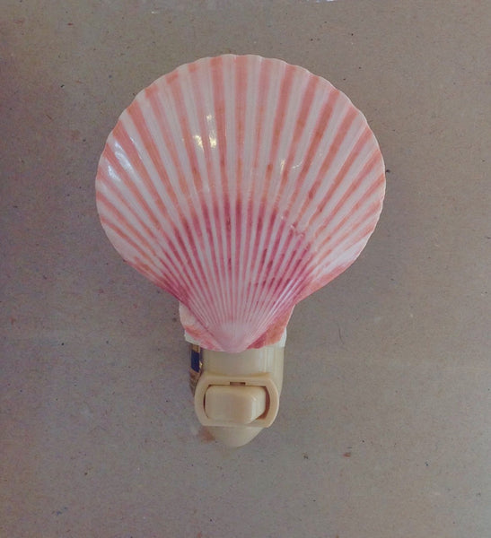 Colorful Scallop Shell Nightlight – Sea Things Ventura