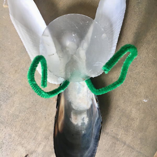 Mussel Angel Tree Top – Sea Things Ventura