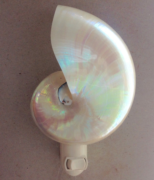 Pearlized Nautilus Nightlight – Sea Things Ventura