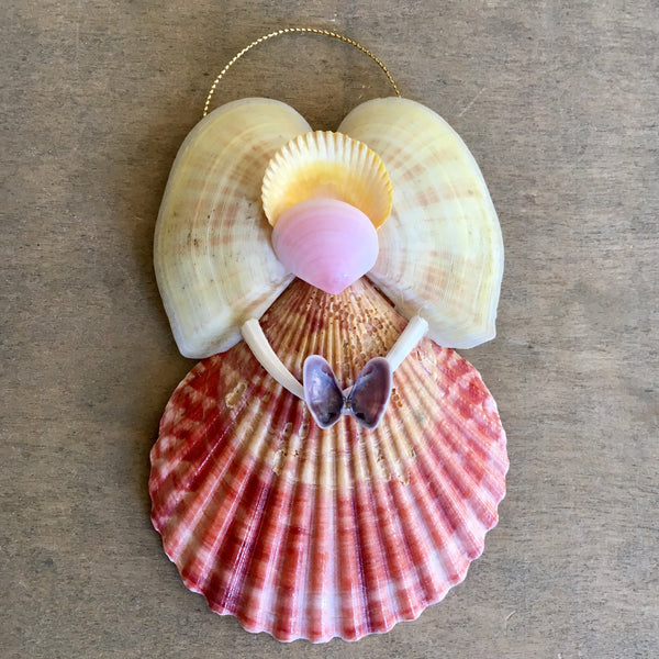 Rainbow Butterfly Shell Angel – Sea Things Ventura