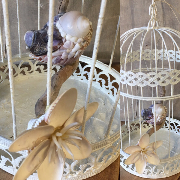 Seahell Little Birdy – Sea Things Ventura