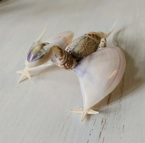 Shell Dragon Craft Box – Sea Things Ventura