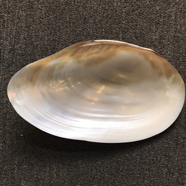 Mother of Pearl Dish – Sea Things Ventura