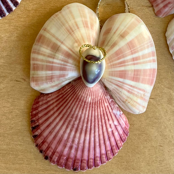 Purple Cowrie Shell Angel – Sea Things Ventura