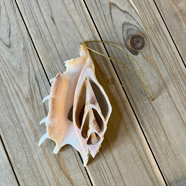 Sparkling Sliced Shell Ornaments – Sea Things Ventura